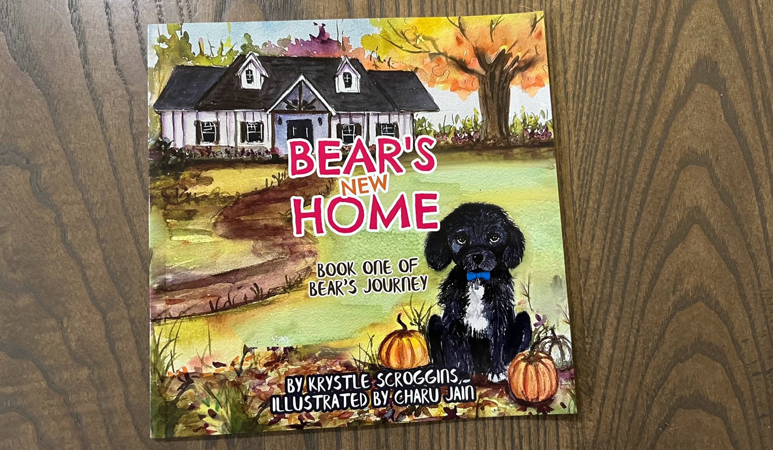 Children’s Book Review | Bear’s New Home