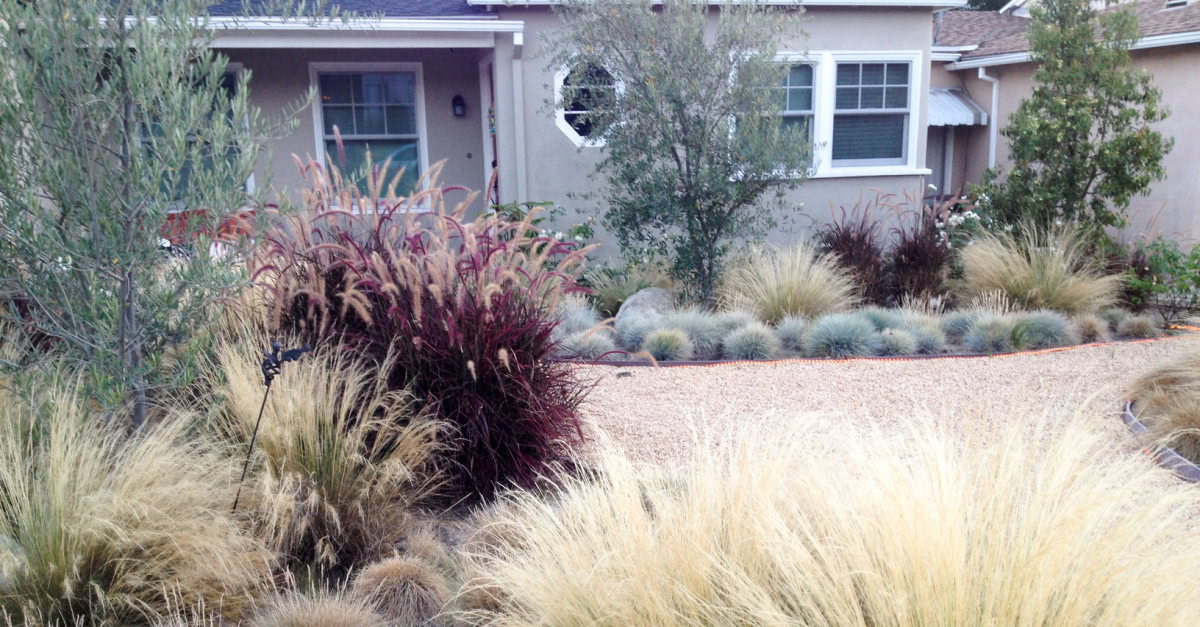 Western Back Yard Landscaping Ideas 9 Low Maintenance Landscaping