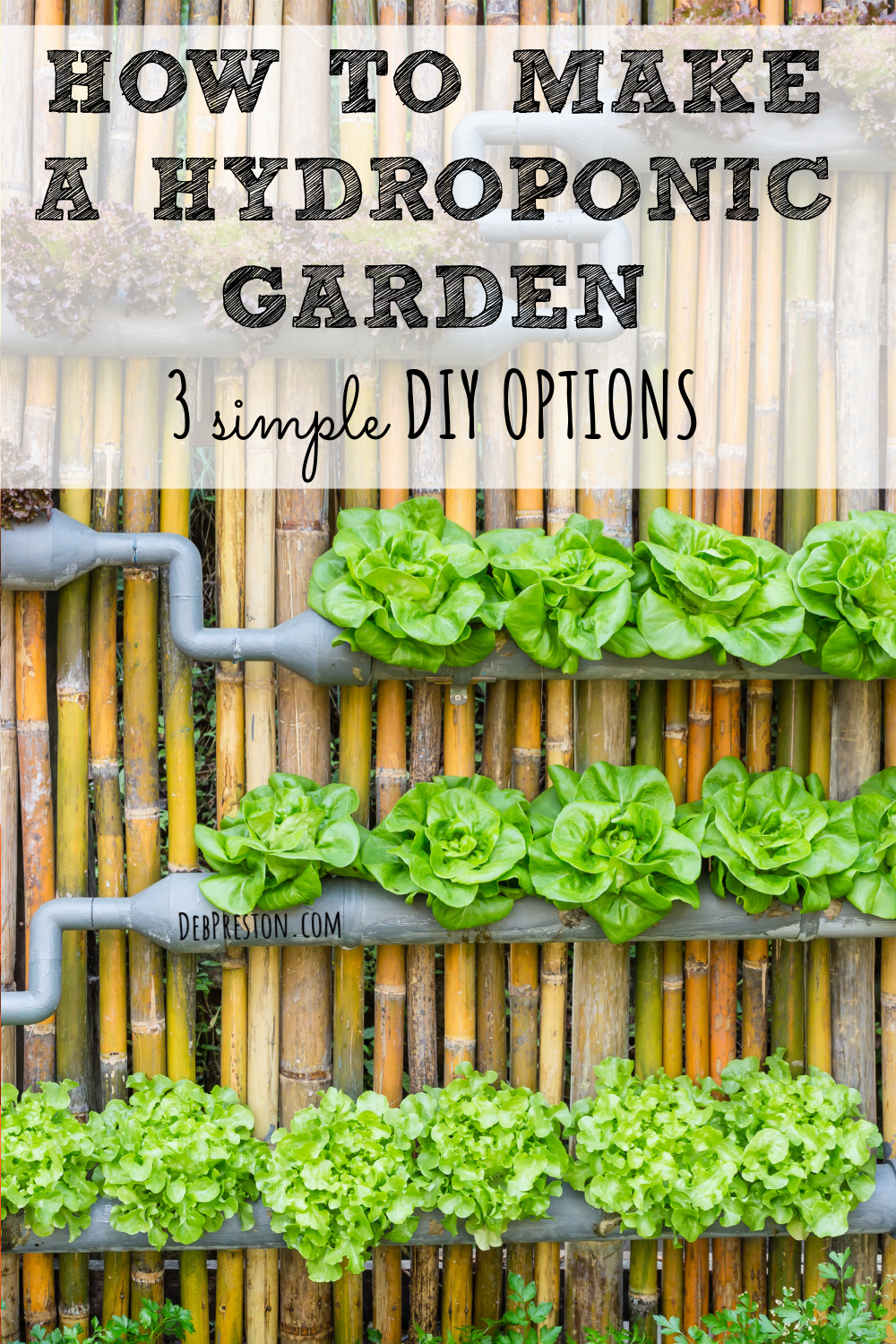 How to Make a Hydroponic Garden: 3 Simple DIY Options - Deb Preston